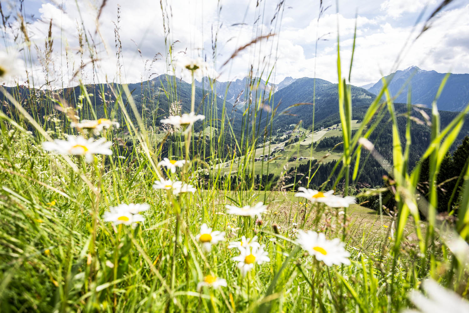 Offer "Slow Food Journey in spring" | Slow-Food-Travel