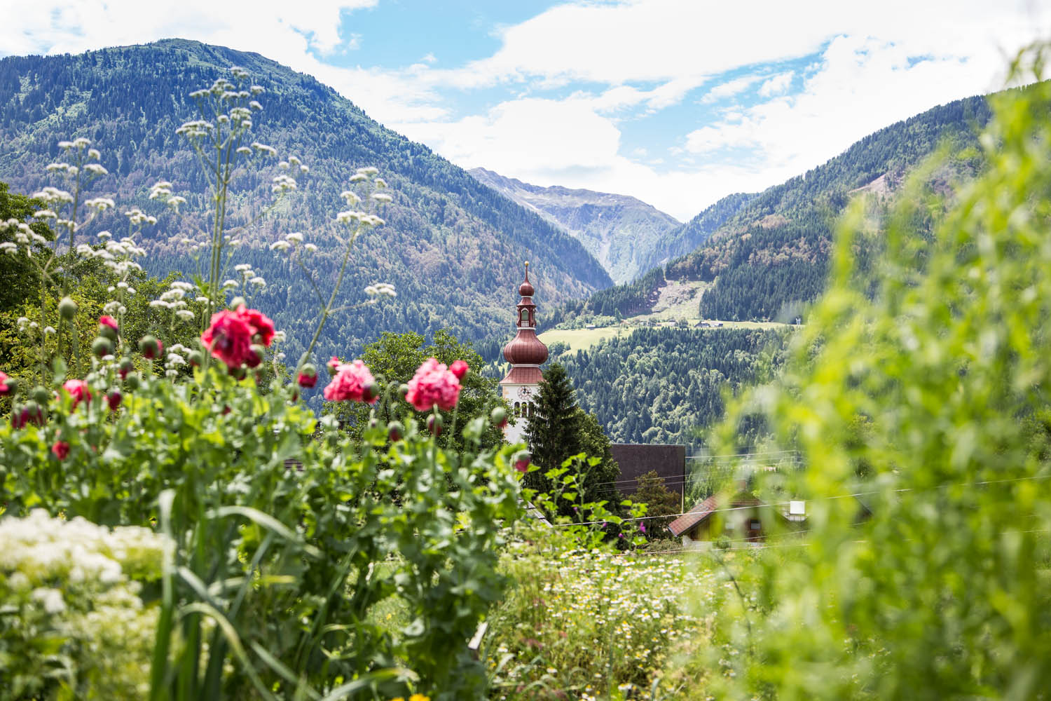 Offer "Slow Food journey in summer" | Slow-Food-Travel